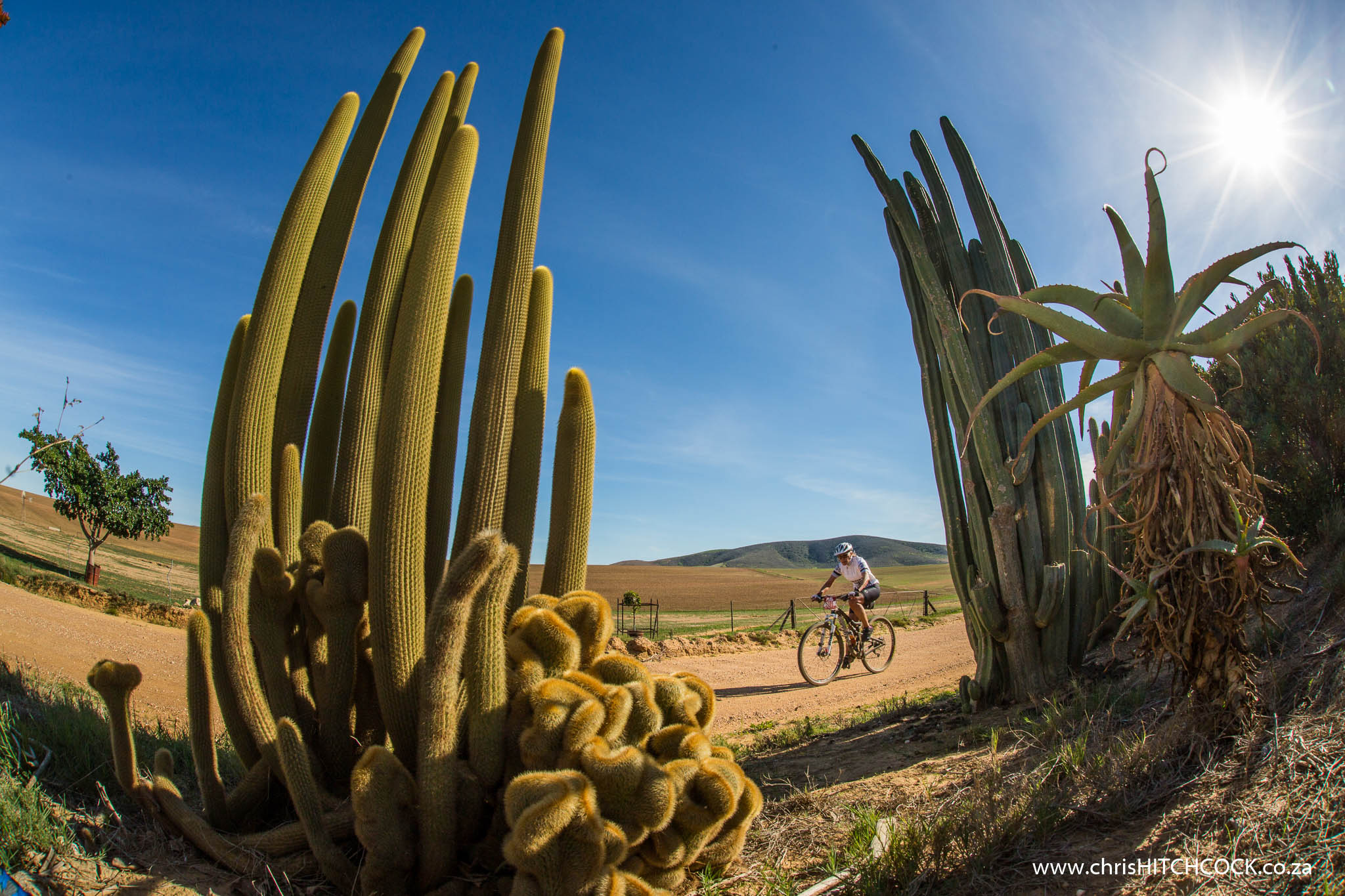 AmaRider 100 Miler – Chris Hitchcock Action and Sports Photographer.