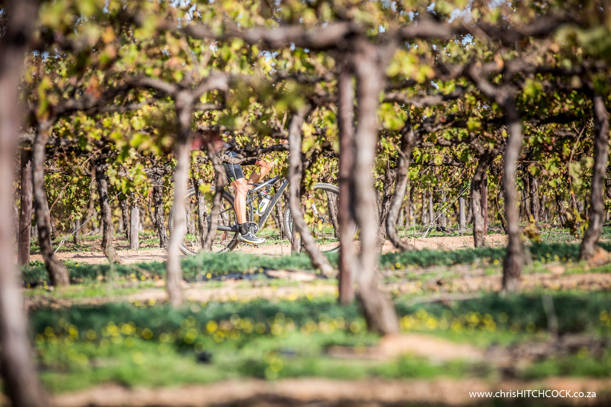AmaRider 100 Miler – Chris Hitchcock Action and Sports Photographer.