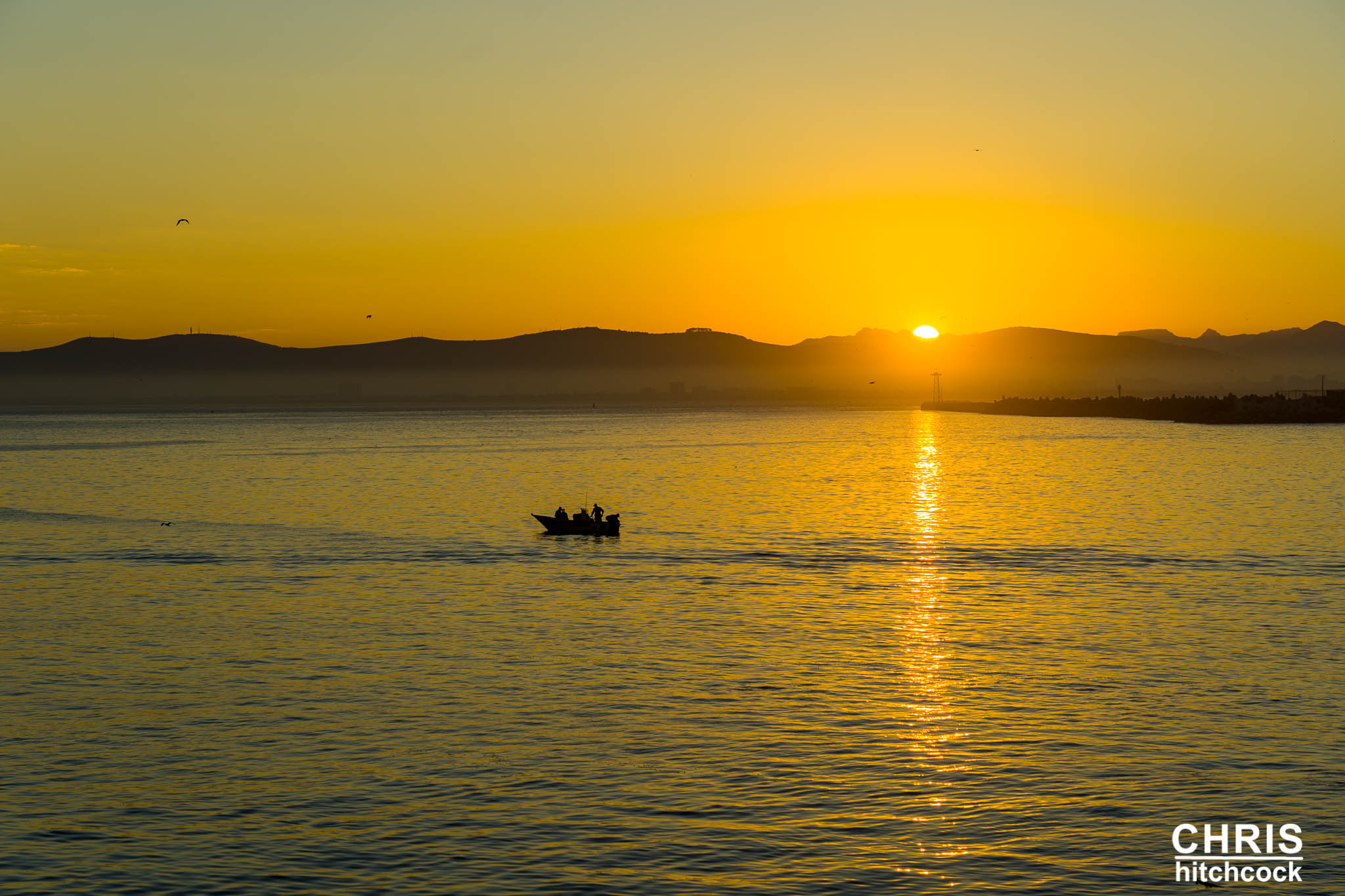 Speedo Island Escape 13 April – Chris Hitchcock Action and Sports ...