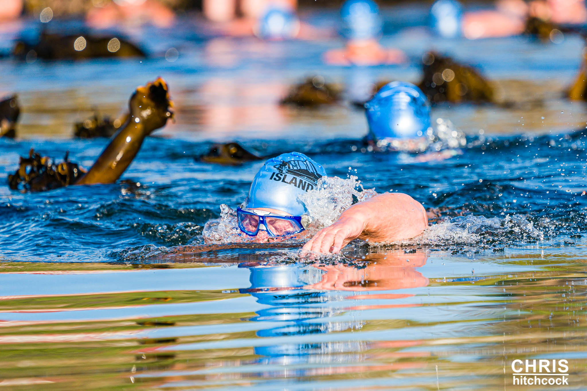 Speedo Island Escape