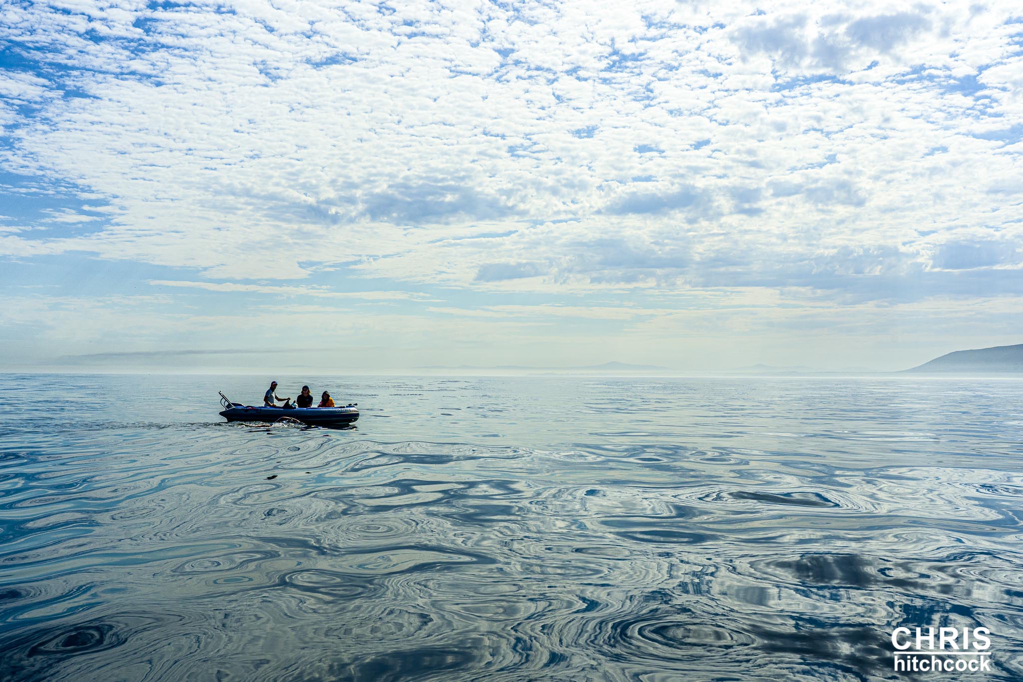 Speedo Island Escape
